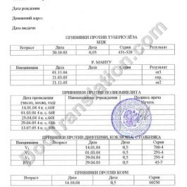 Certified Russian Translation of Immunization /Vaccination Records / Cards