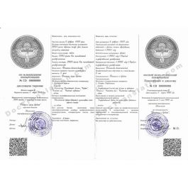 Certified translation of Kyrgyzstan Transcript by ATA Certified translators